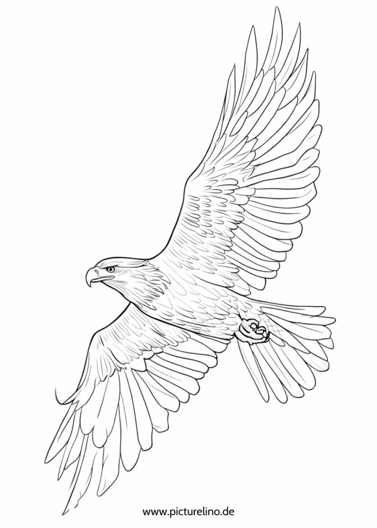 Adler Ausmalbild – Kostenlose Malbilder zum Drucken