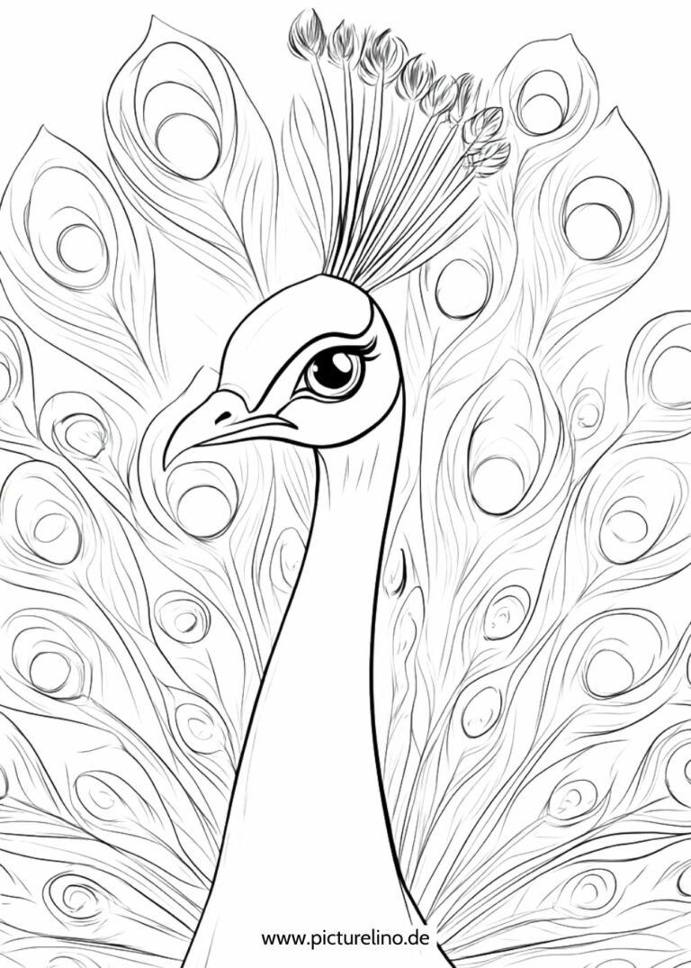 Pfau Ausmalbild – Kreativer Spaß zum Drucken