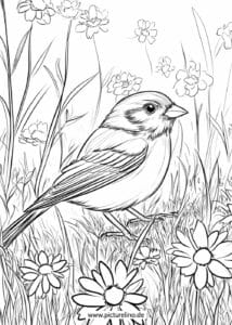 Ausmalbild Spatz: Kreative Vorlagen zum Drucken